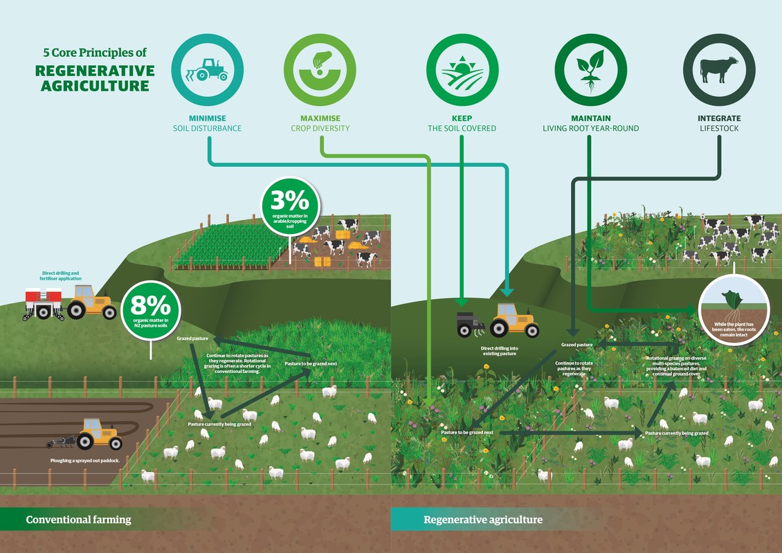 Dairy research development and innovations — Science Learning Hub