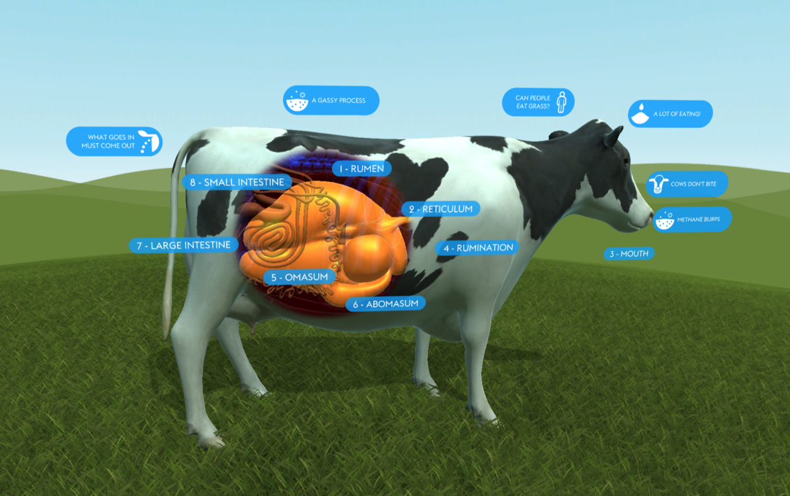 The amazing 3D cow — Science Learning Hub