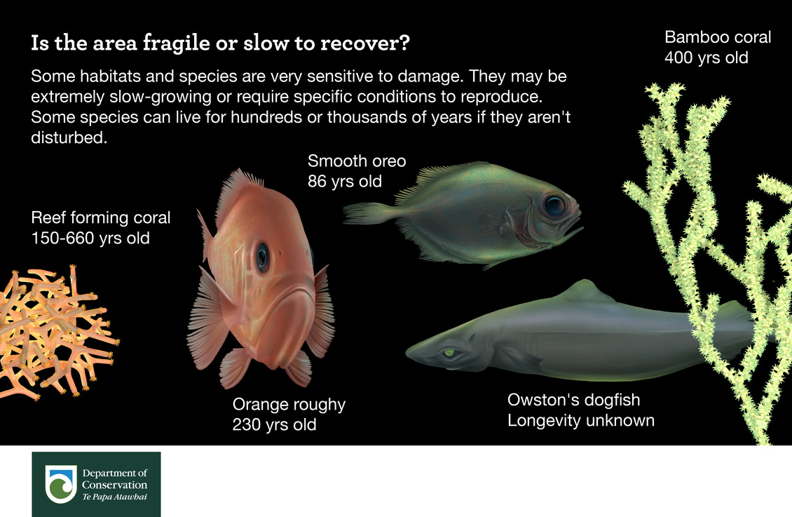 Vulnerable/fragile — Science Learning Hub