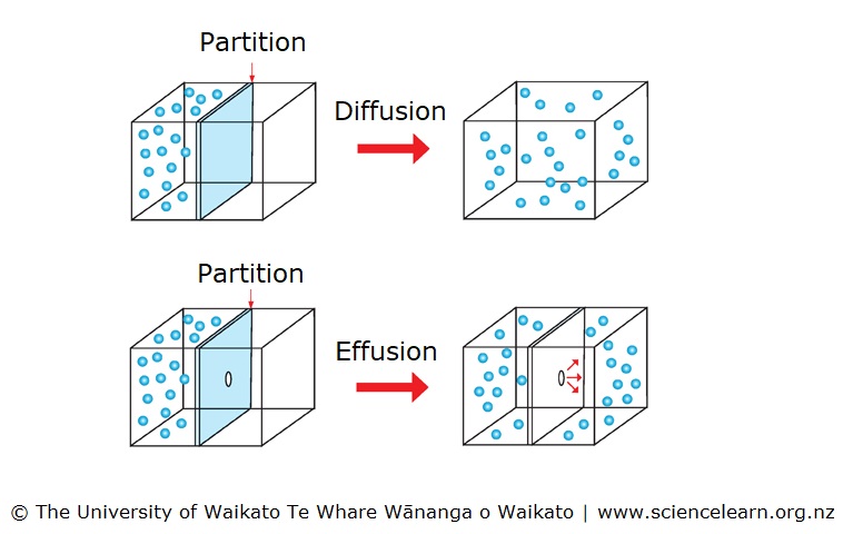 Diffusion and effusion — Science Learning Hub