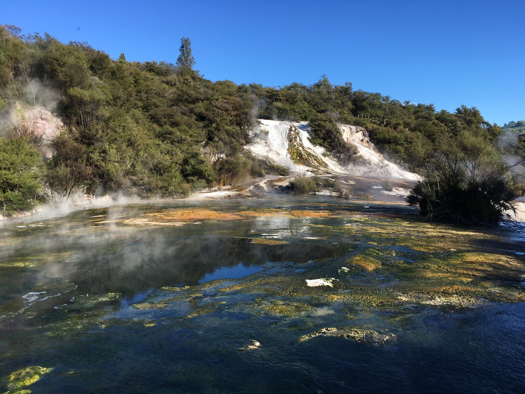 Orakei Korako – an extreme environment — Science Learning Hub