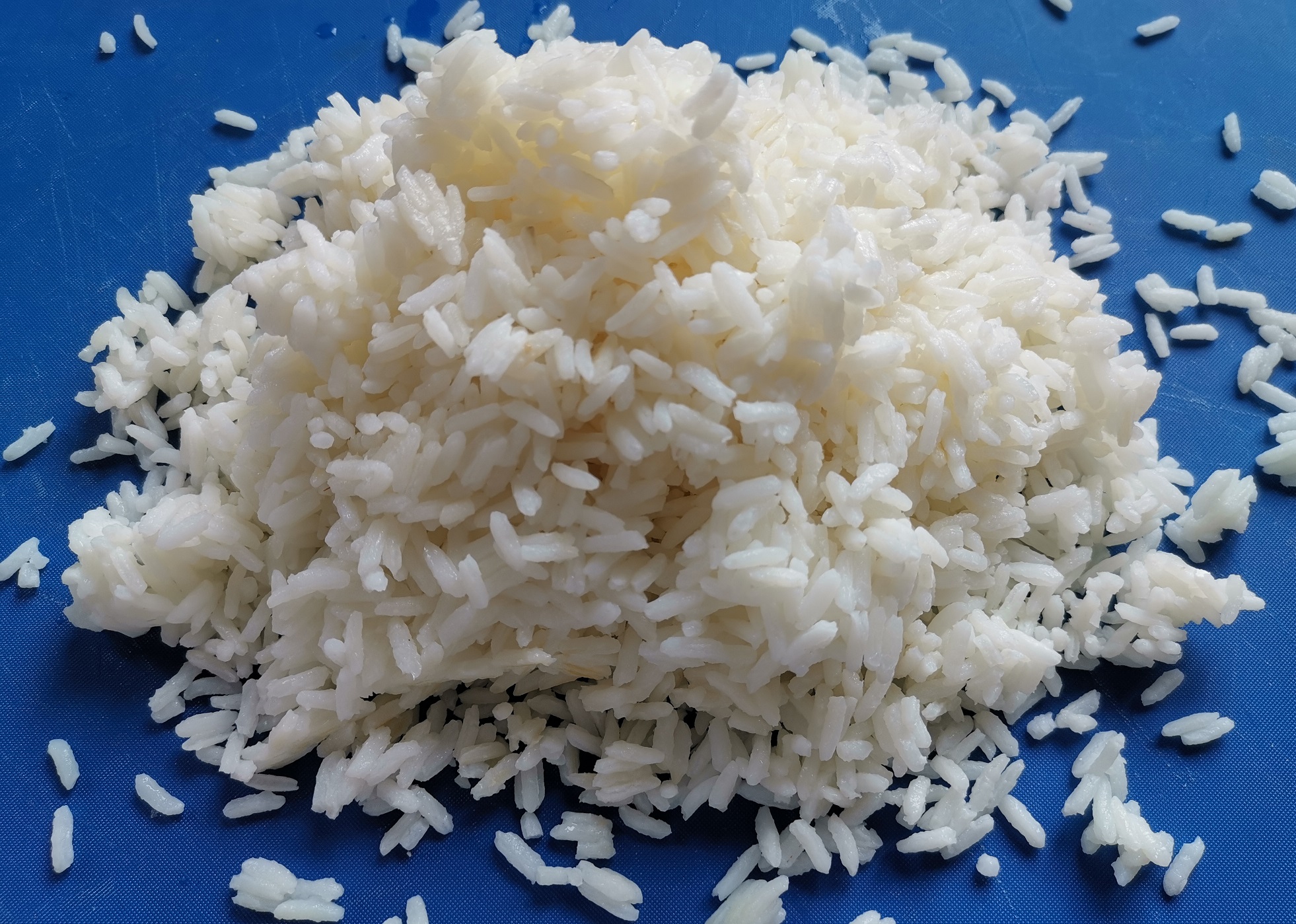 Salivary amylase and starch — Science Learning Hub