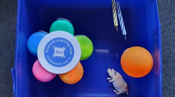 Items that float and sink — Science Learning Hub