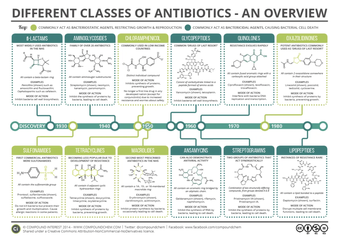 Classes of antibiotics — Science Learning Hub