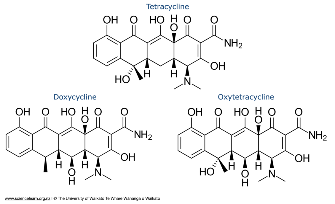 Chemical structure of tetracyclines — Science Learning Hub