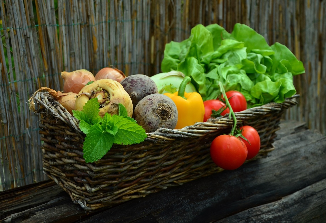 Vegetable harvest — Science Learning Hub