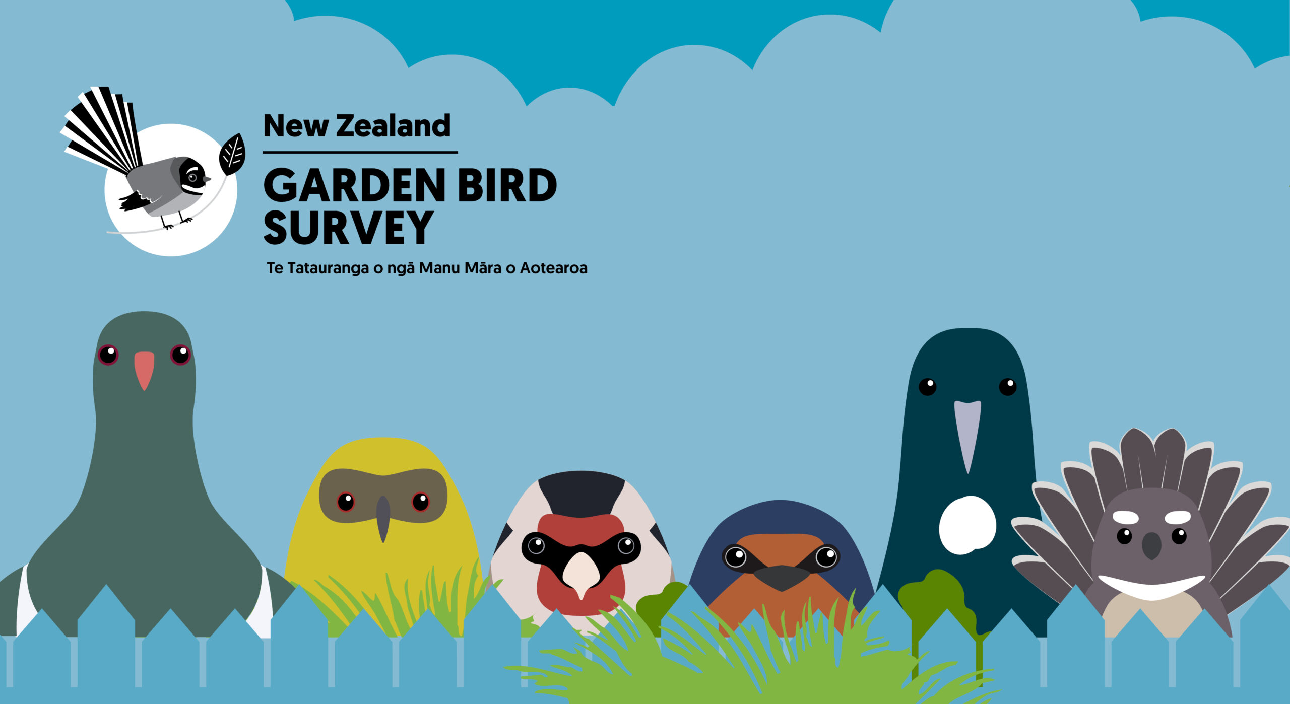 Taking action for our birds — Science Learning Hub