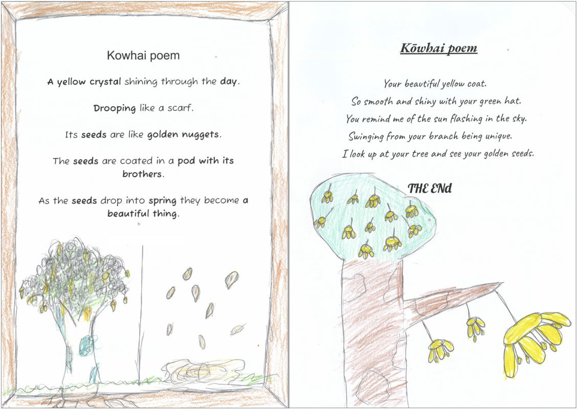 Kōwhai poems — Science Learning Hub